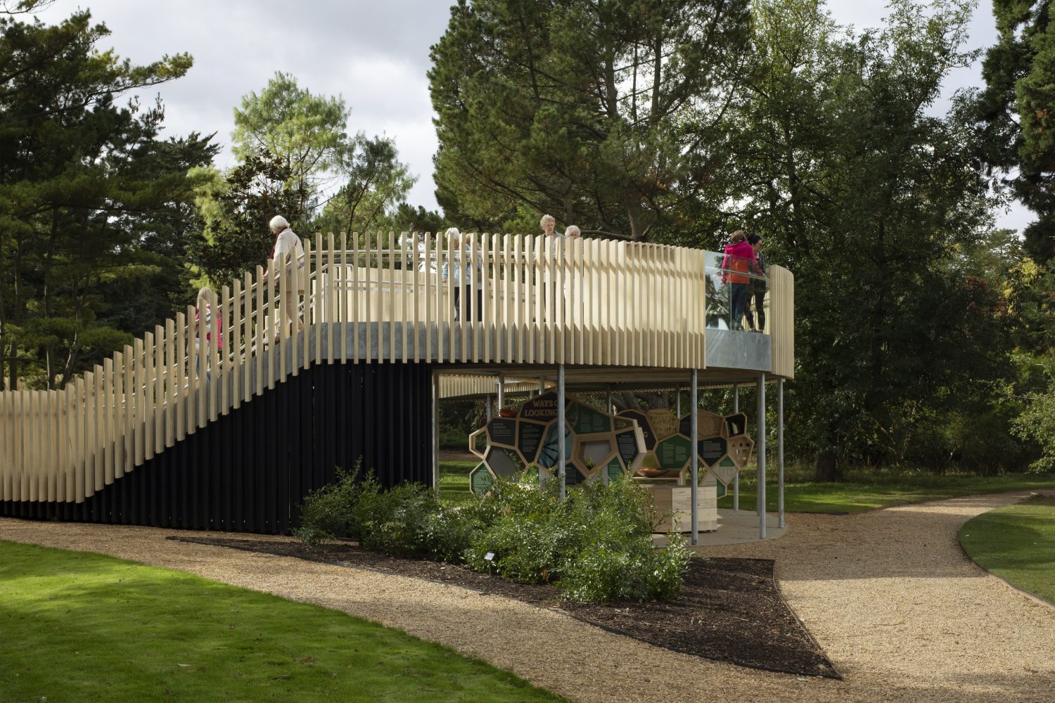 The Rising Path — CDC Studio